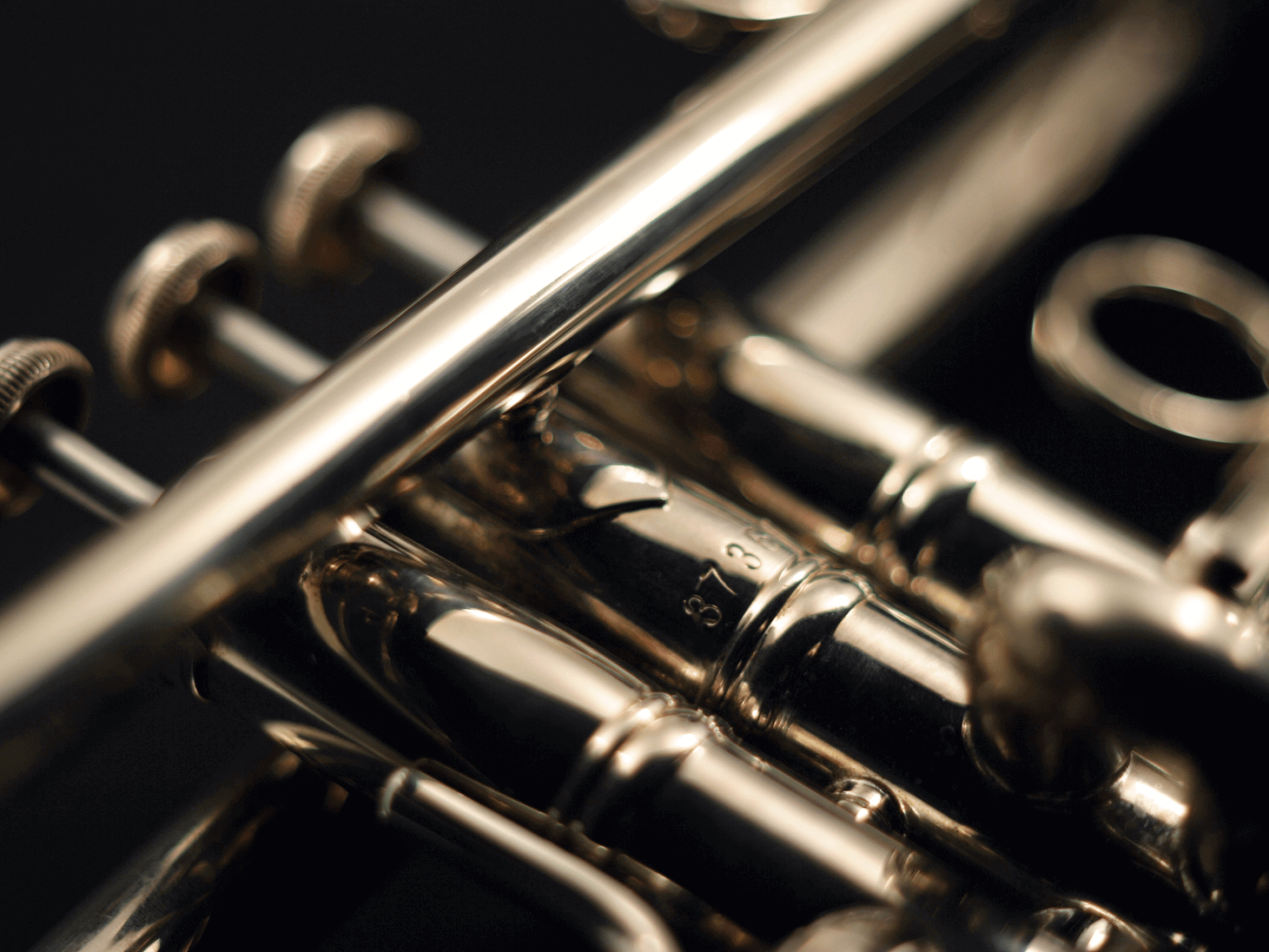 What Is The Range Of A Standard Trumpet? | Trumpet Insights